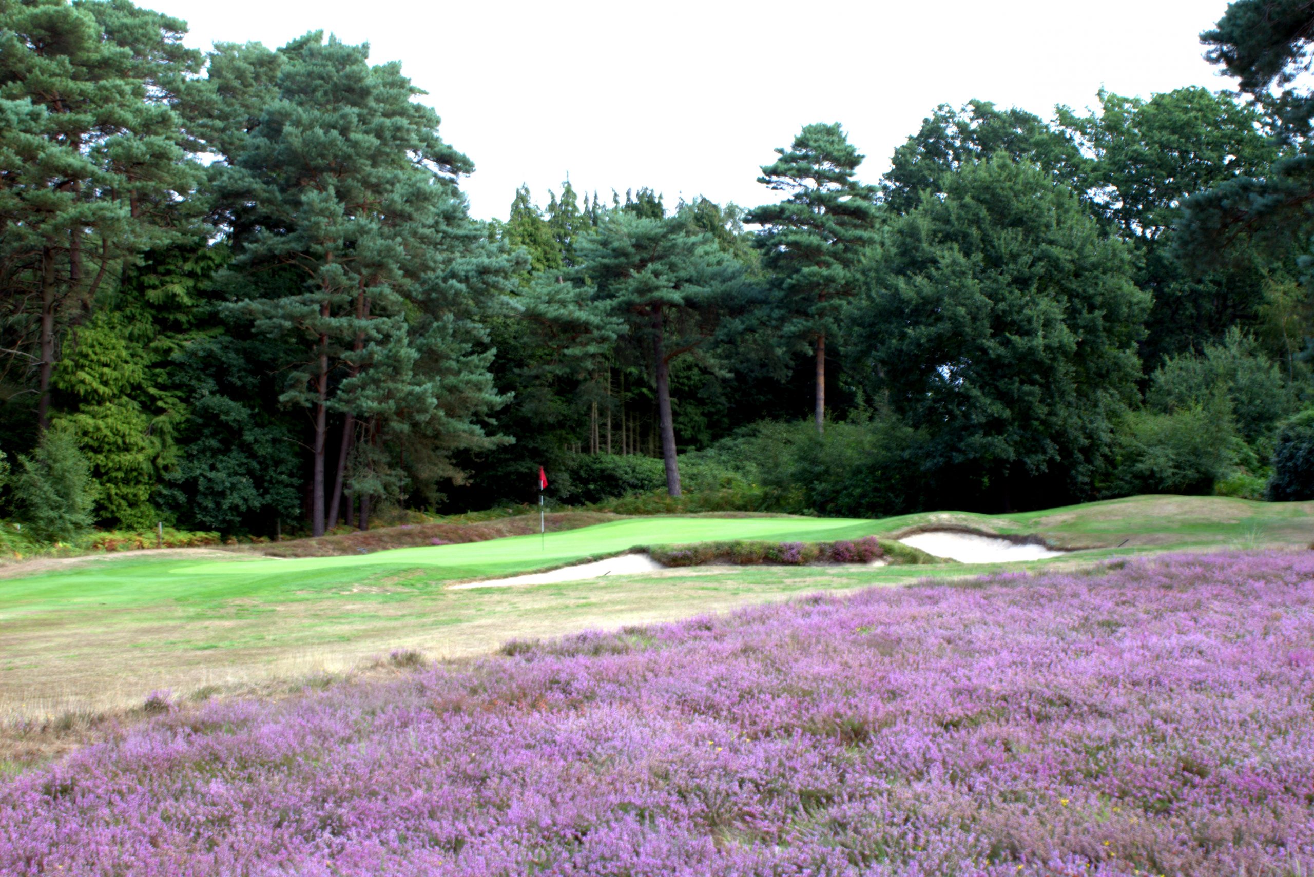 Lloyd's Golf Club – Lloyd's Golf Club